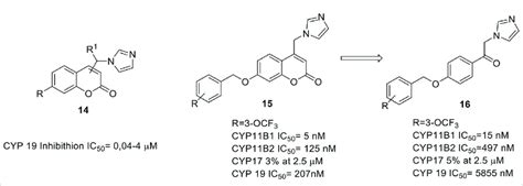 General Structure Of Aromatase Inhibitors Stefanachi Et Al 2011