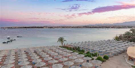 Prima For Offers Until 31 72020 Call Us At 01279953038 Primalife