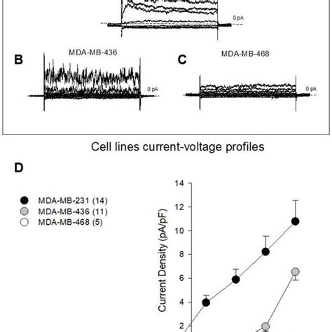 Membrane Current In Bc Cell Lines Representative Families Of Total