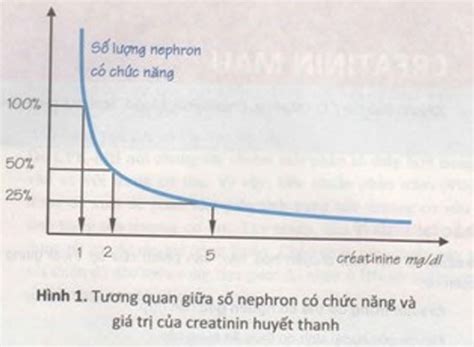 Xét Nghiệm 24 Creatinin Máu Créatininémia Creatinine Creatinine
