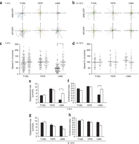 Potency Of The Pmhc Complex Drives Early T Cell Deceleration Analysis