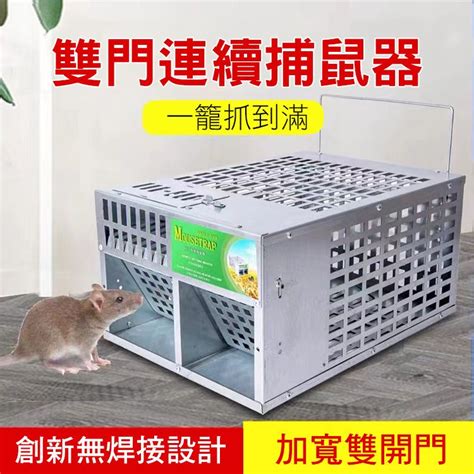 Magic Bear 買1送1全自動雙開門連續捕鼠器x1加贈 微電子超聲波抑鼠驅鼠器x1 Pchome 24h購物