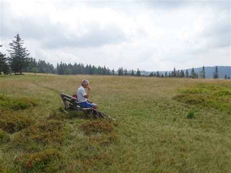 Pauze Op De Alm Foto