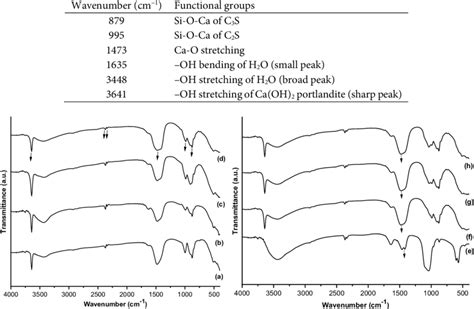 Wavenumber And Functional Groups Of Mta Download Scientific Diagram
