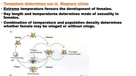 Environmental Regulation In Normal Development Of Animals By Mutaib