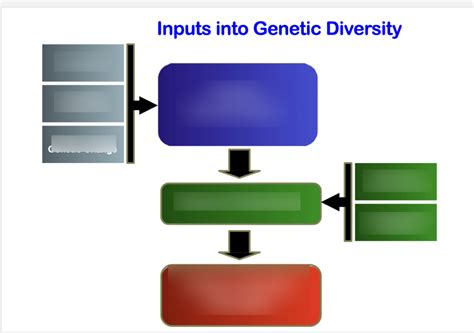 Lecture 15 Diagram Quizlet
