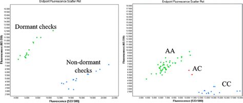 Genotyping Graph For Kasp Marker Co1 Tf 1598 Showing The Separation