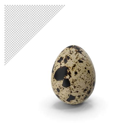 Premium Psd Fresh Quail Egg Png