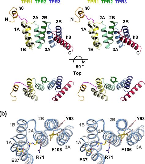 Figure 3 From Structure Of The Yersinia Enterocolitica Type Iii