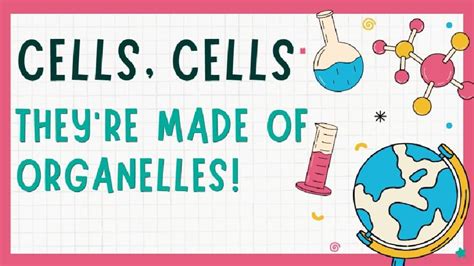 Cell Rap With Slideshow Presentation Of Lyrics By Grade 5 With Garrett