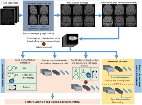 An Example Of Mri Based Tumor Analysis Pipeline Using Ml Download