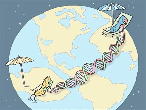 Calling Through The Dna Wire A Newly Discovered Genetic Switch”
