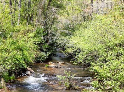 Stuart Va Real Estate Stuart Va Homes For Sale Zillow