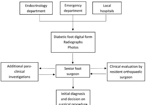 Flow Chart For Diabetic Foot Management Pathway Download Scientific