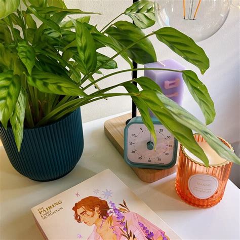 Theo And Kit Portraits Inspired By The Pairing By Casey Mcquiston Illustration Etsy