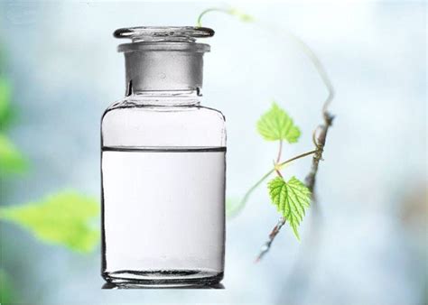 Alpha Pinene 200kg At Best Price In Surat Id 25184087662