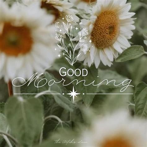 Farmhouse Good Morning Images Boho Good Morning Vintage Floral