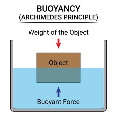 Buoyant Force And Weight Of The Object 44253718 Vector Art At Vecteezy