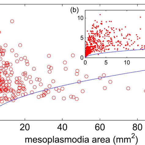 Different Growth Modes Of Physarum Polycephalum Day 3 Microplasmodia Download Scientific