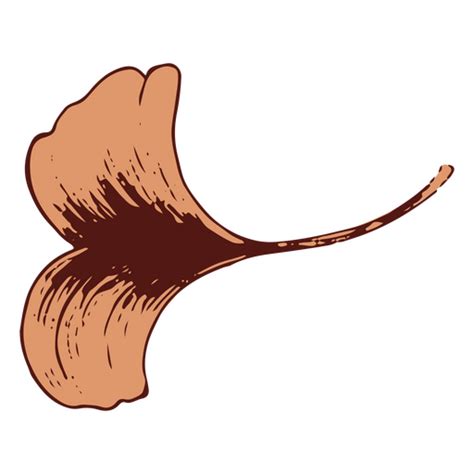 Gingko Leaf Png Design
