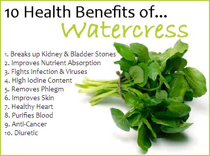 Watercress Cancer Benefits Marsha Fenwick Nutrition