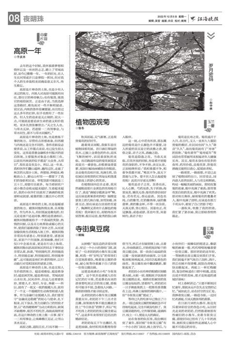 江海晚报 高原一年