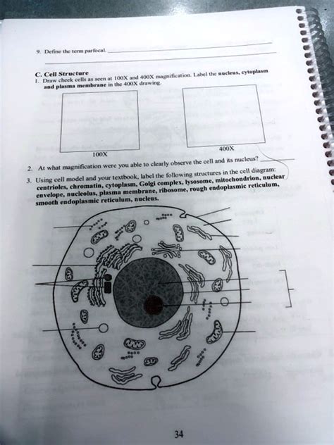 9 Define The Term Parfocal C Cell Structure 1 Draw Cheek Cells As