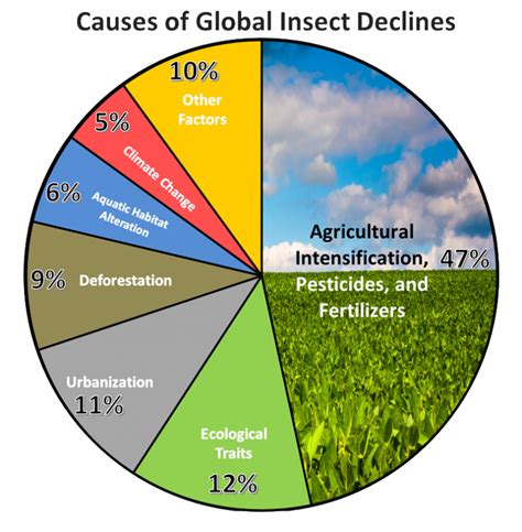 Global Causes Insect Decline Hygeia Analytics