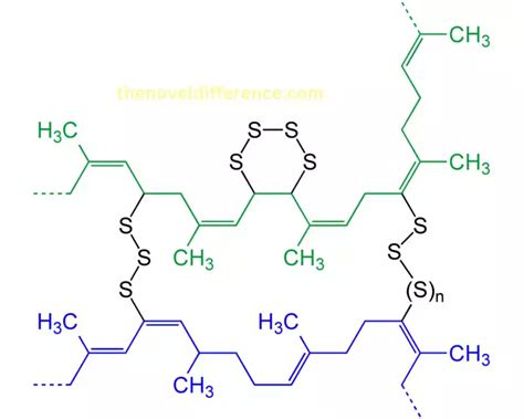 What Is The Difference Between Branched And Crosslinked Polymers The