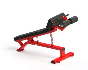 Abs Bench Real Swiss Fitness
