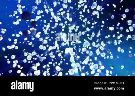 Abstract Particle Looping Rotation Blue Shards Seamlessly Rotating