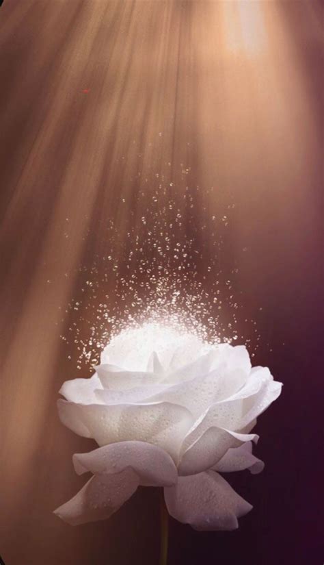 Lisa Ashman On Linkedin Goodmorninglinkedinworld