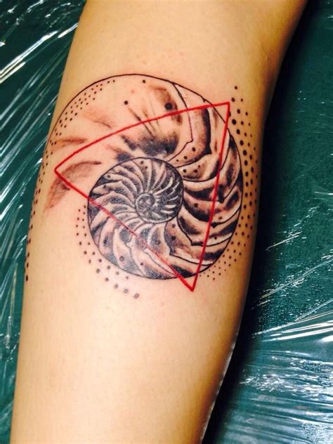 Nautilus Shell The Nautilus Represents Growth And Moving Forward In