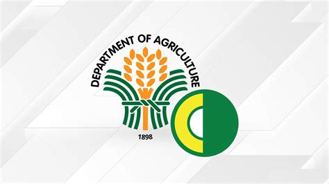 Pca Alarmed By Rising Copra Prices Inquirer Business