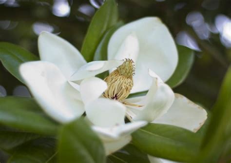 Constructive Critisism Welcome