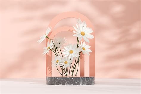 제품에 대 한 빈 공간 연단 디스플레이와 일반적인 데이지의 분홍색 3d 렌더링 그림 0명에 대한 스톡 사진 및 기타 이미지 0명 3차원 형태 강단 Istock