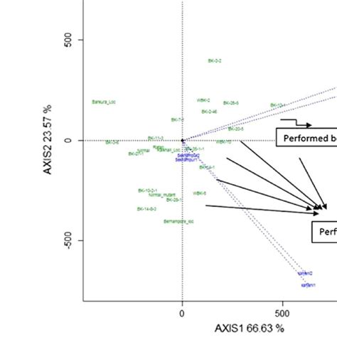 Performance Of The Genotype In Each Environment Download Scientific