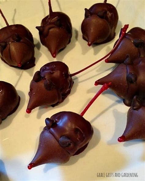 Chocolate Covered Cherry Christmas Mice Grace Grits And Gardening