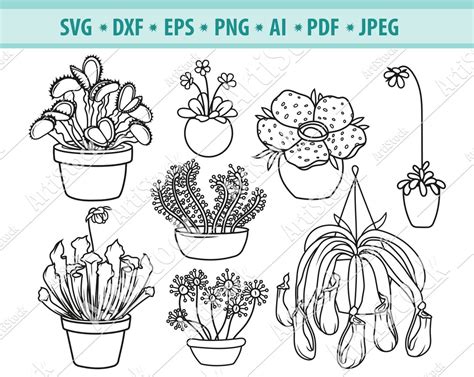 Domestic Predatory Flowers Svg Poisonous Plant Svg Home Flower Svg