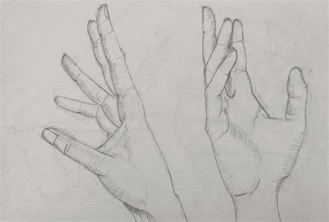 Cómo Dibujar Manos Guía Para Principiantes Skillshare Blog