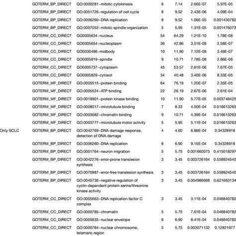 Gene Ontology Analysis Of Differentially Expressed Genes In Sclc