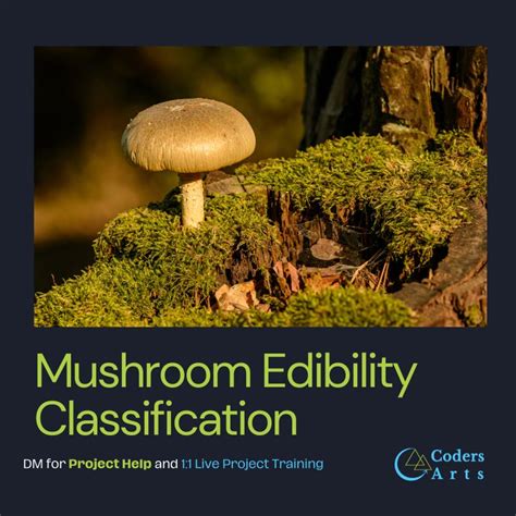 Jitendra Singh On Linkedin Machinelearning Ai Datascience Projecthelp Jobsupport