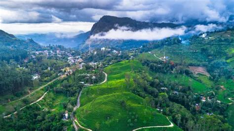 Ella Sri Lanka Pictures Download Free Images On Unsplash