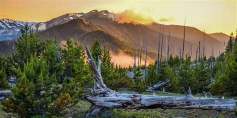 Day Trips From Olympic National Park Getyourguide