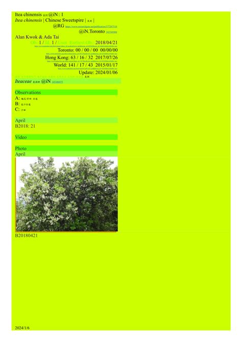 Pdf Itea Chinensis 鼠刺 In