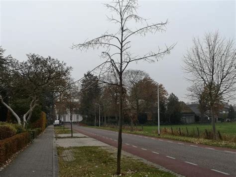 John Vranken Posted On Linkedin