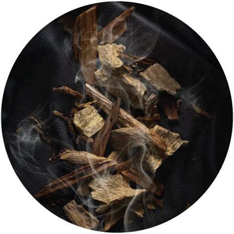 Leather And Smoke Sarbaani