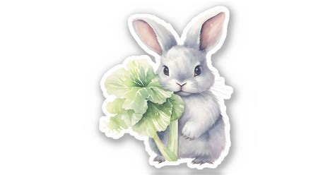 Rabbit With Cabbage Sticker Zazzle