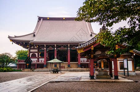 大田图片大田素材大田高清图片摄图网图片下载