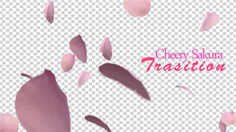 Sakura Element Motion Graphics Videohive
